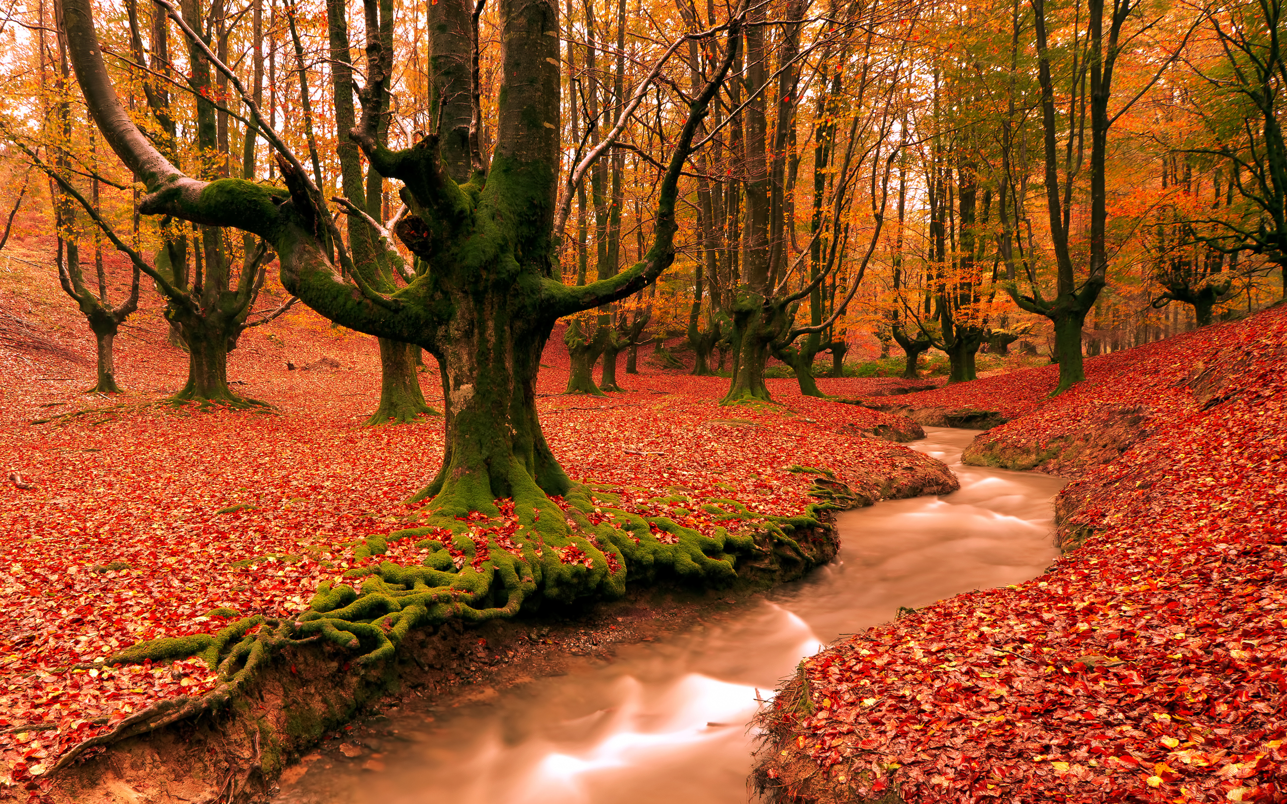 Channel Autumn Wallpapers - Wallpaper Cave