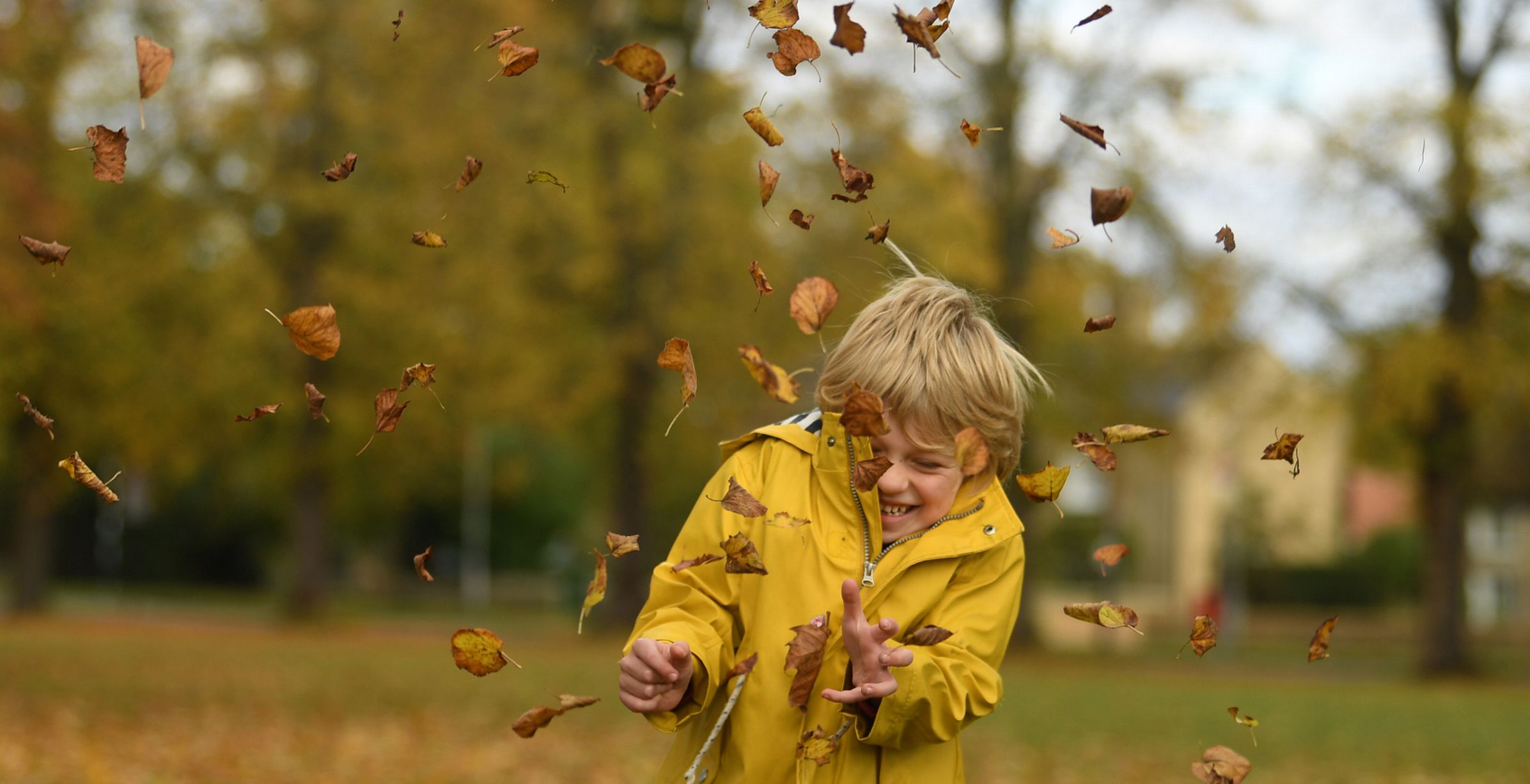 Cambridge Autumn Wallpapers - Wallpaper Cave
