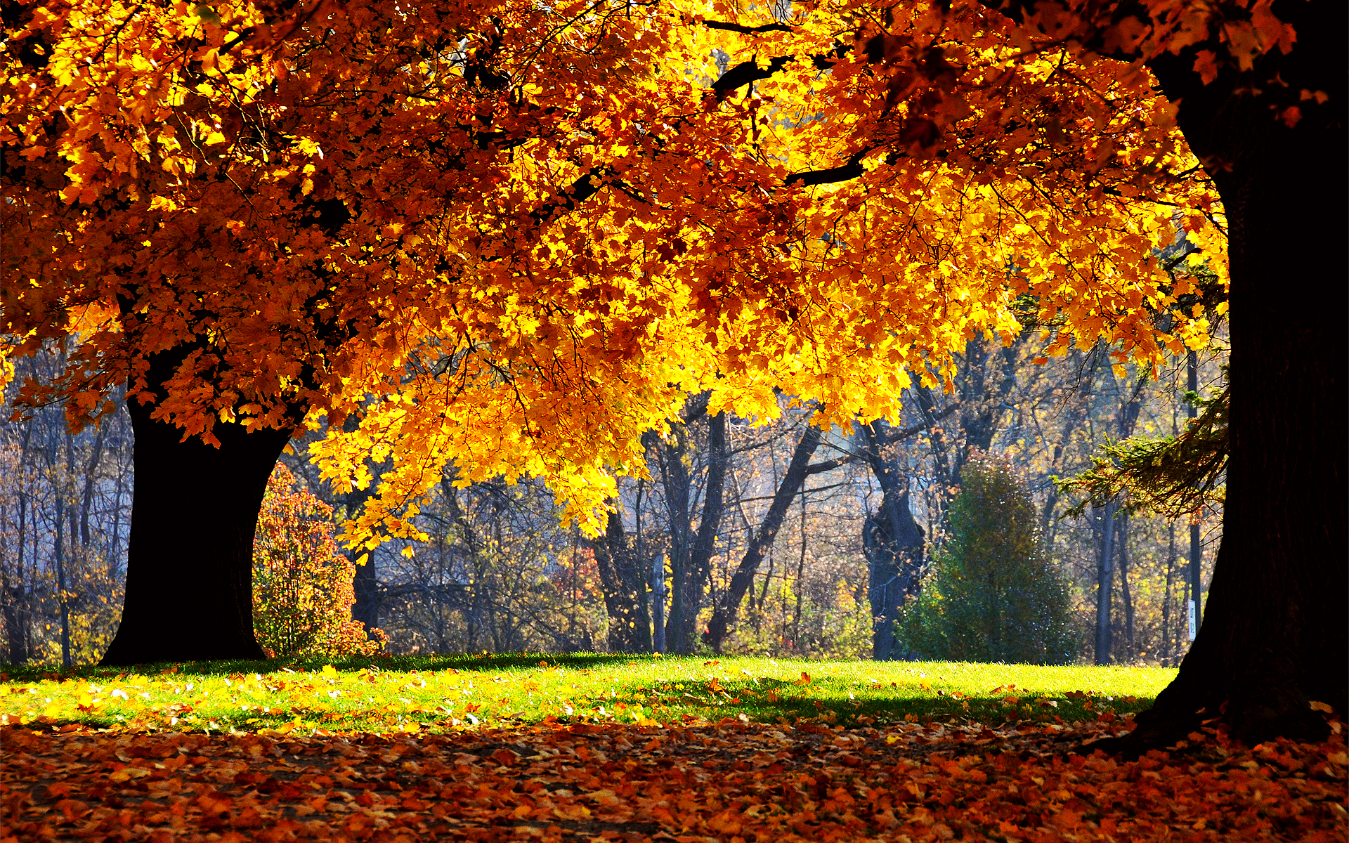 Cambridge Autumn Wallpapers - Wallpaper Cave