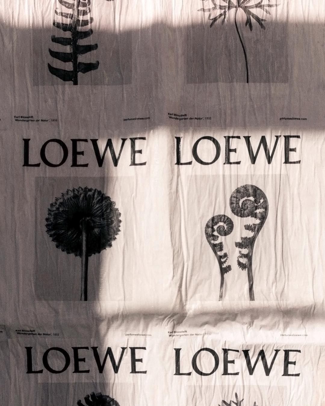 Loewe Wallpapers - Wallpaper Cave