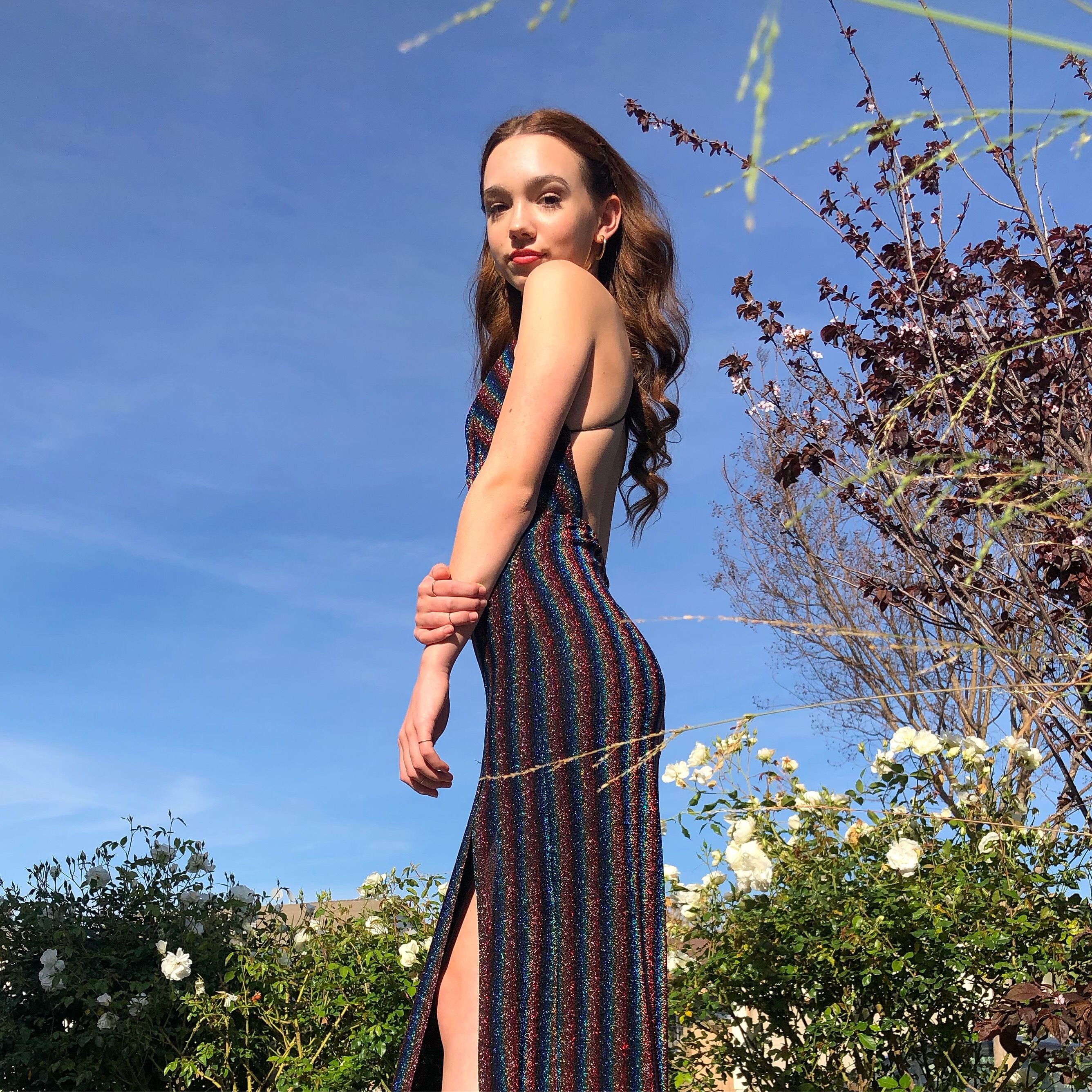 Ruby Jay Wallpapers - Wallpaper Cave