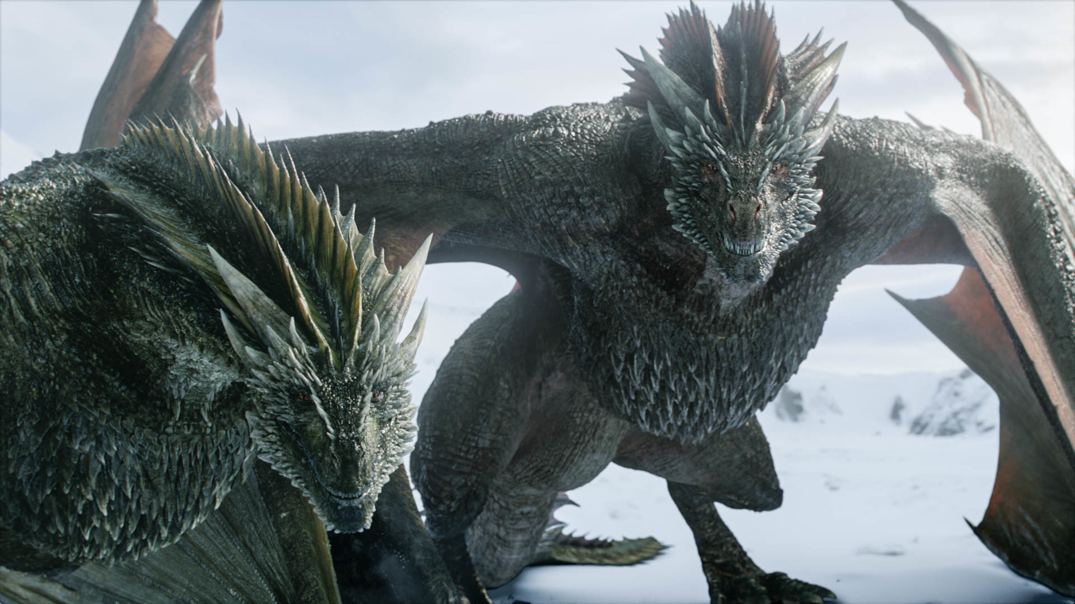 Rhaegal Wallpapers - Wallpaper Cave