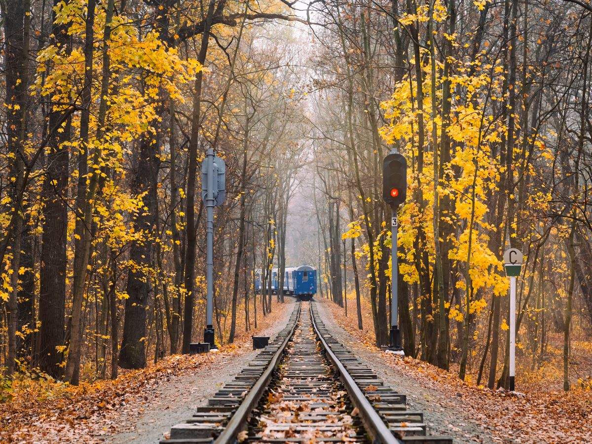 Autumn Train Rides Wallpapers - Wallpaper Cave