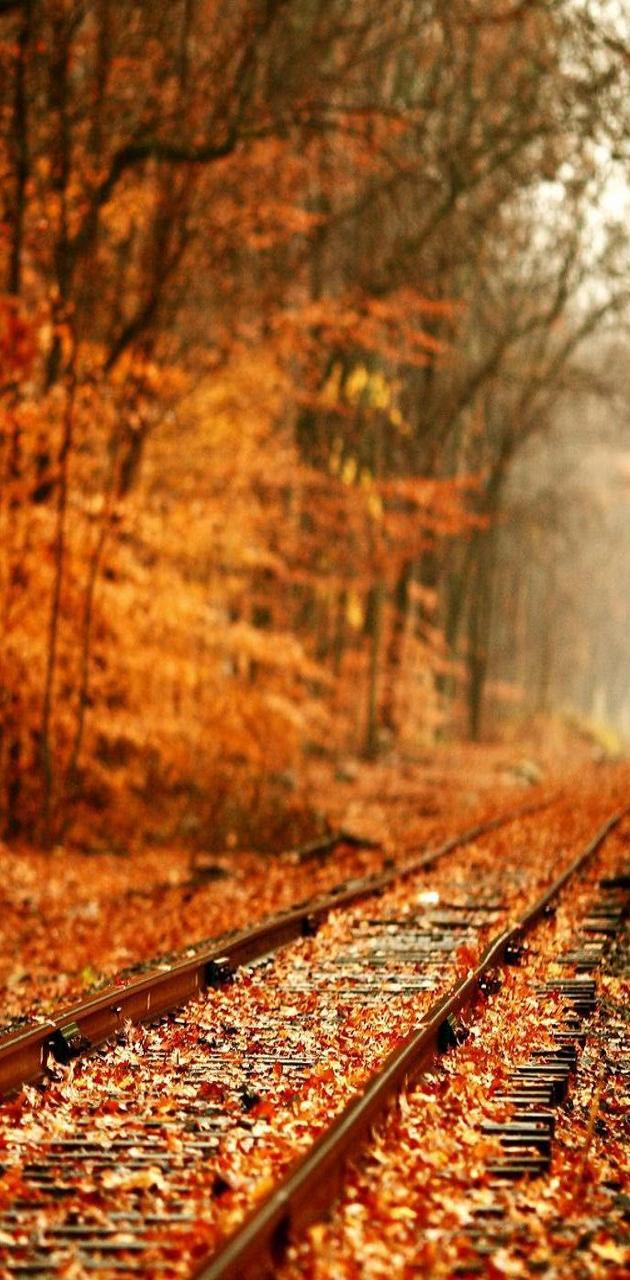 Autumn Railroad Wallpapers - Wallpaper Cave