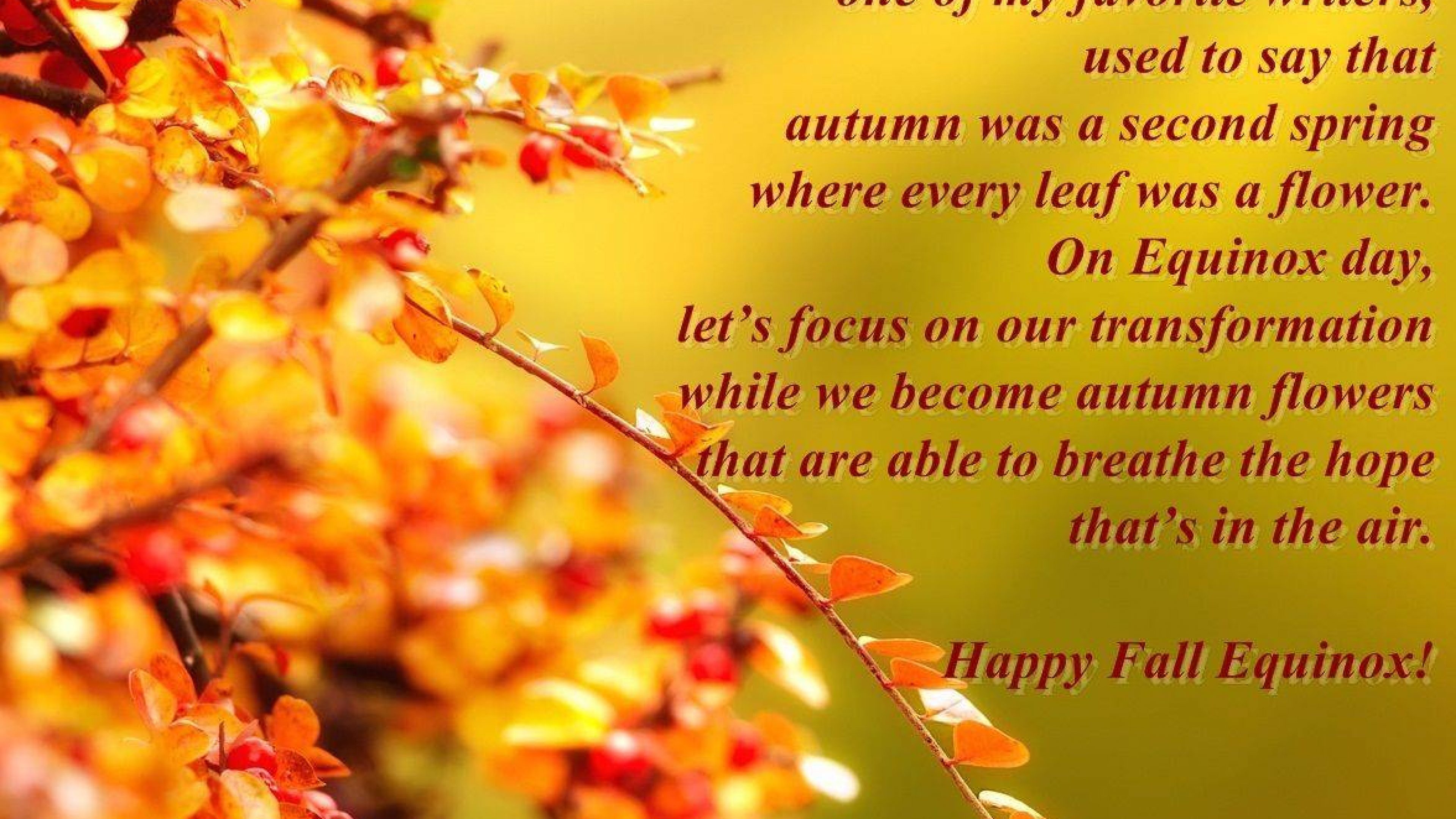 Autumn Inspiration Wallpapers - Wallpaper Cave