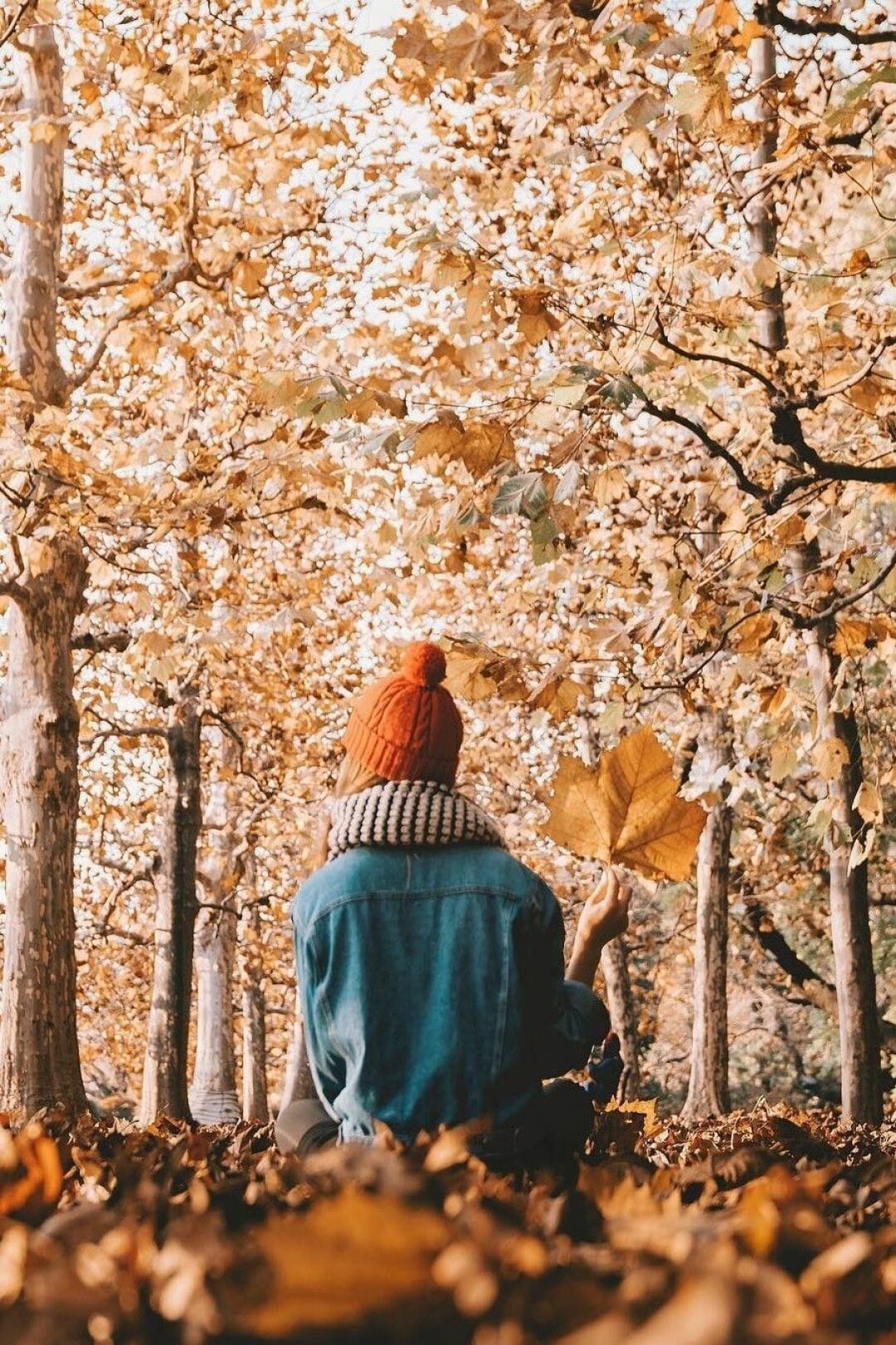 Autumn Inspiration Wallpapers - Wallpaper Cave