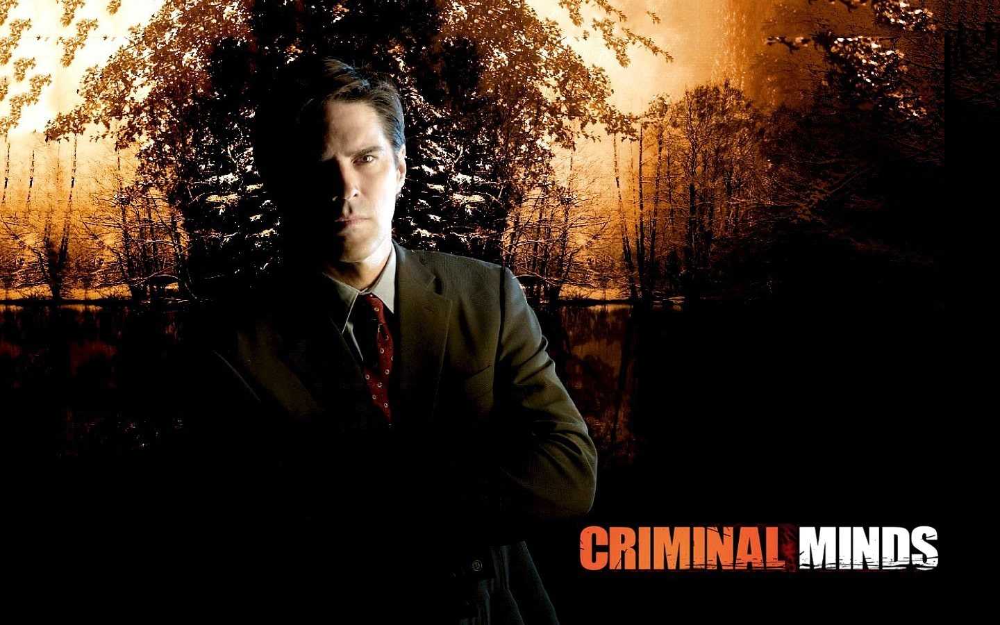 Aaron Hotchner Wallpapers - Wallpaper Cave
