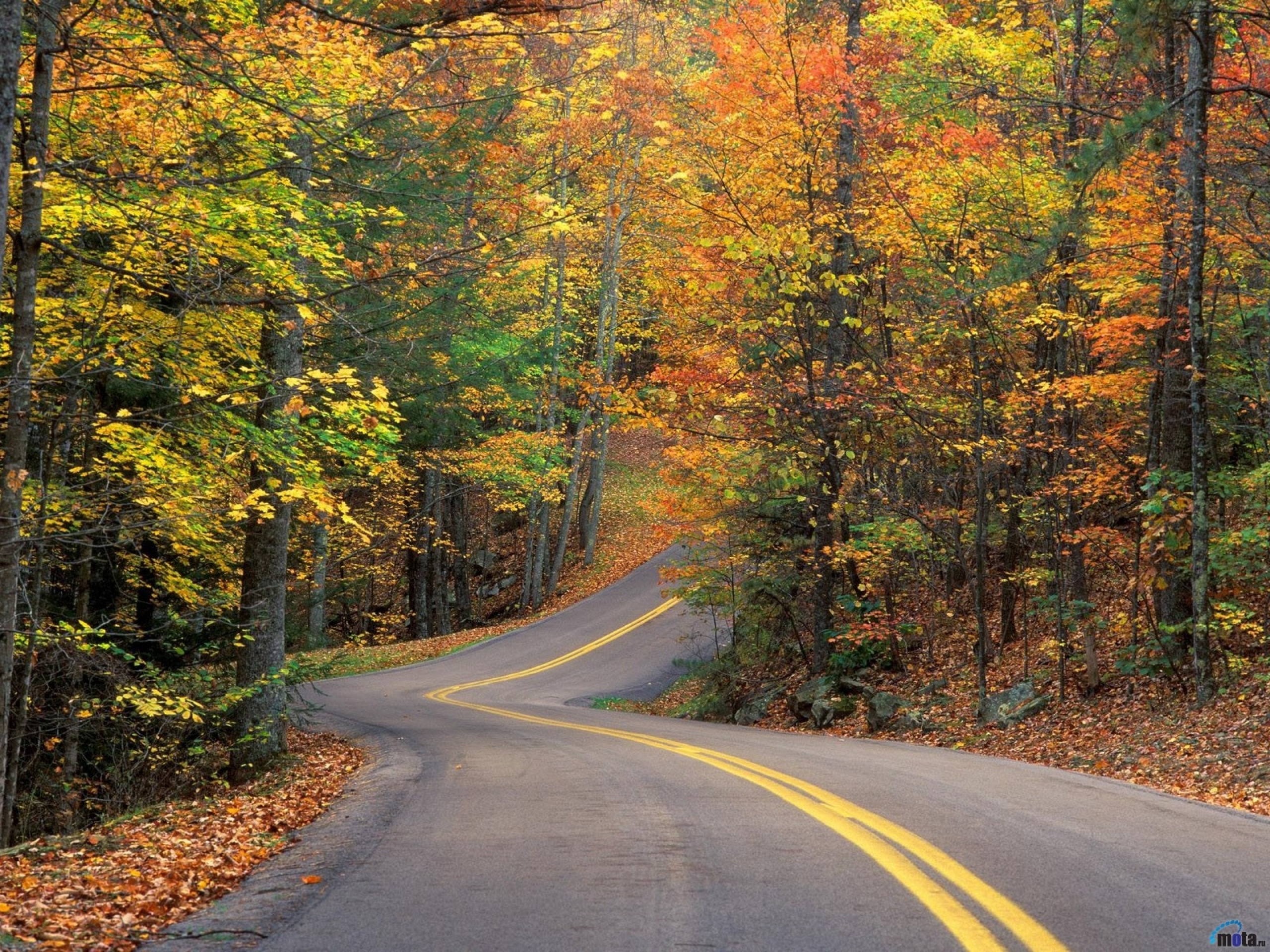 Autumn Street PC Wallpapers - Wallpaper Cave