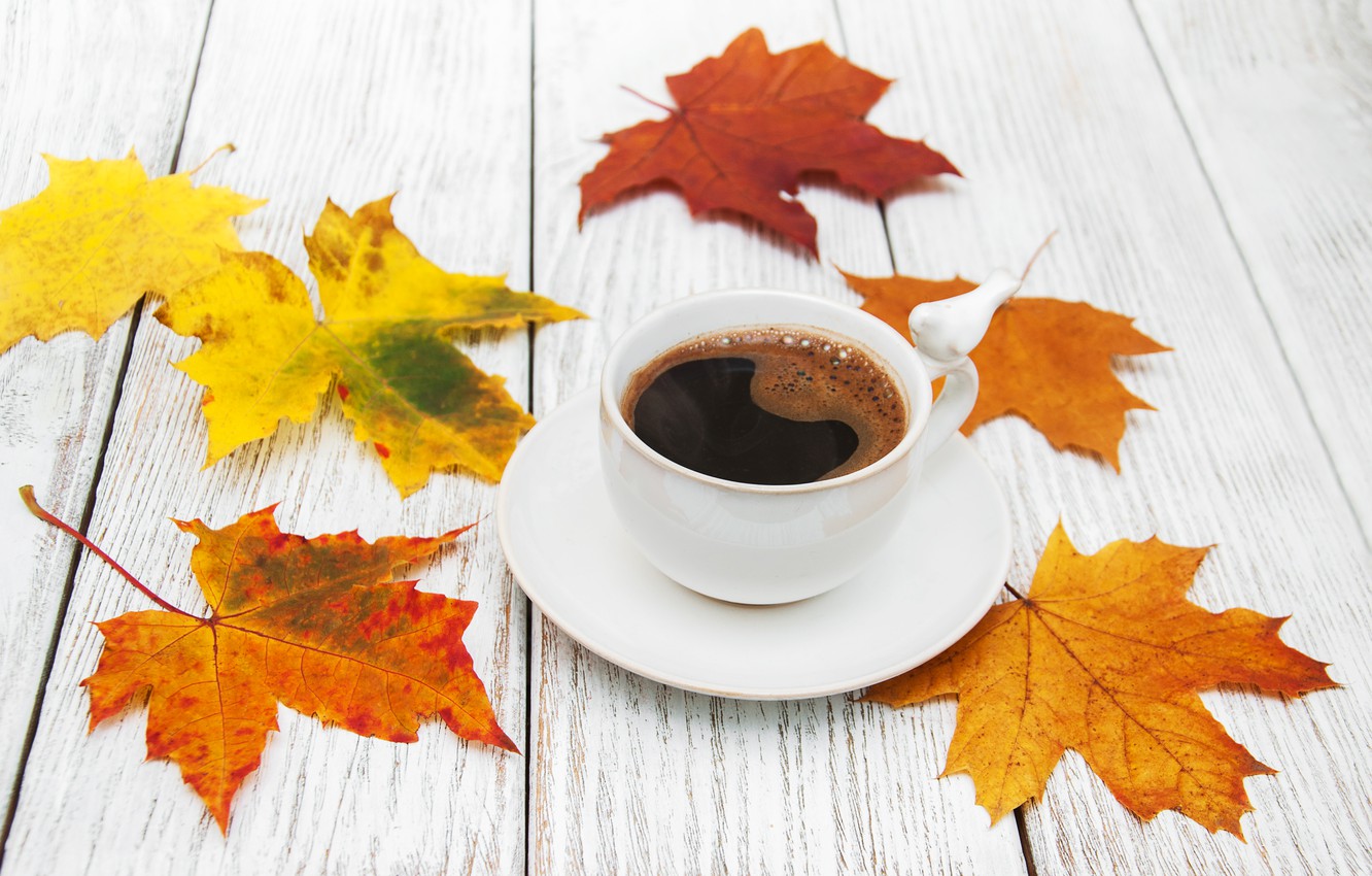 Sunny Autumn Coffee Wallpapers - Wallpaper Cave