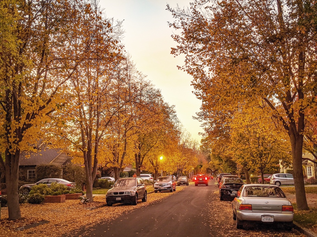 San Francisco Autumn Wallpapers - Wallpaper Cave