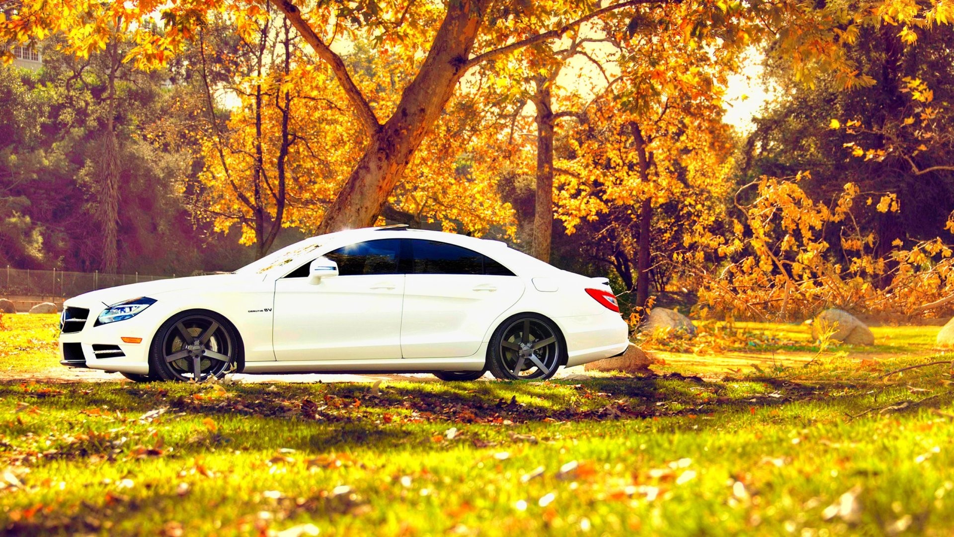 Mercedes Autumn Wallpapers - Wallpaper Cave