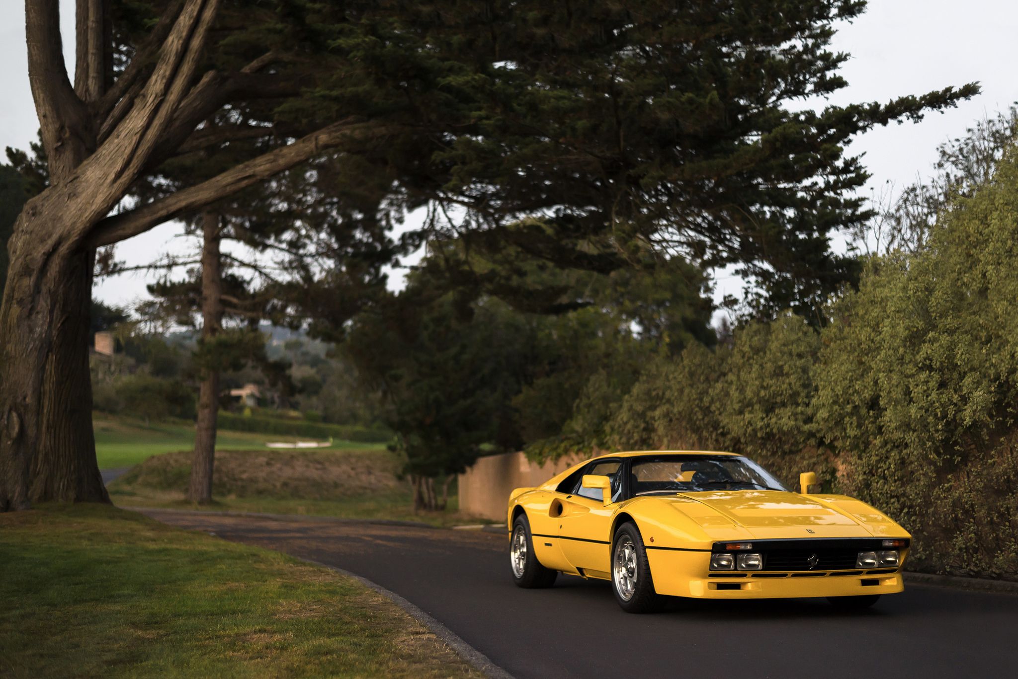 288 GTO Wallpapers - Wallpaper Cave