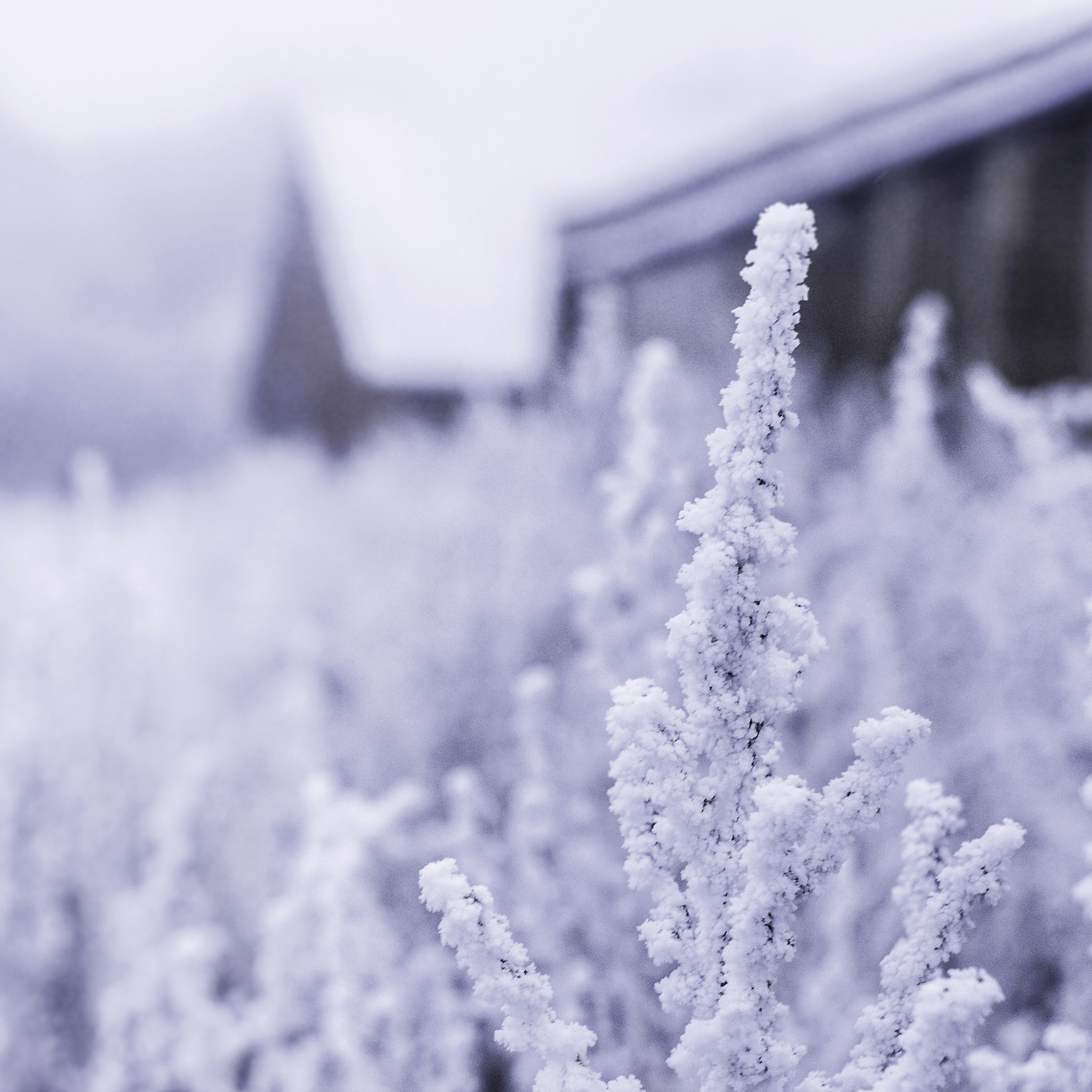 Blue Snow Wallpapers - Wallpaper Cave