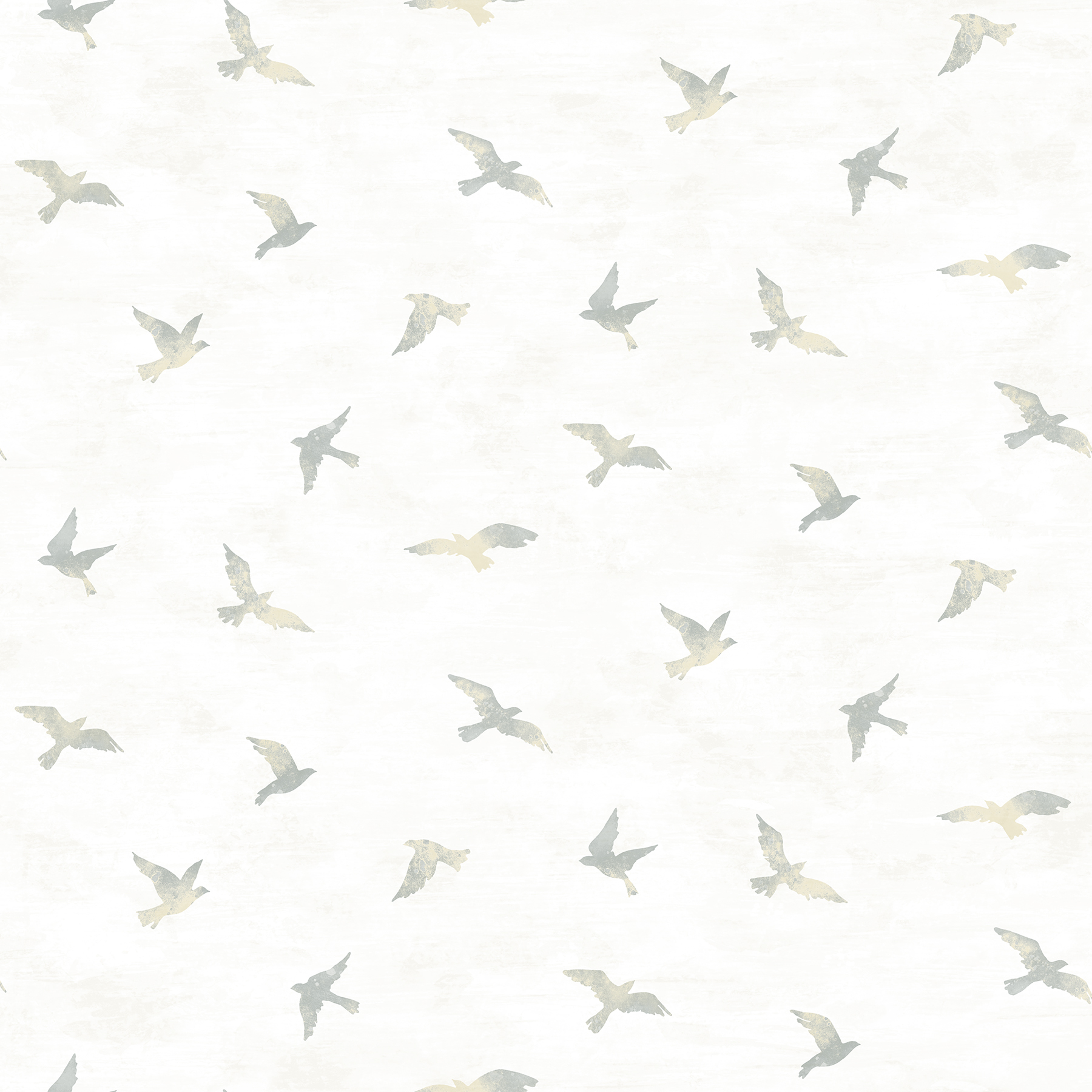 Sparrow Bird Wallpapers - Wallpaper Cave