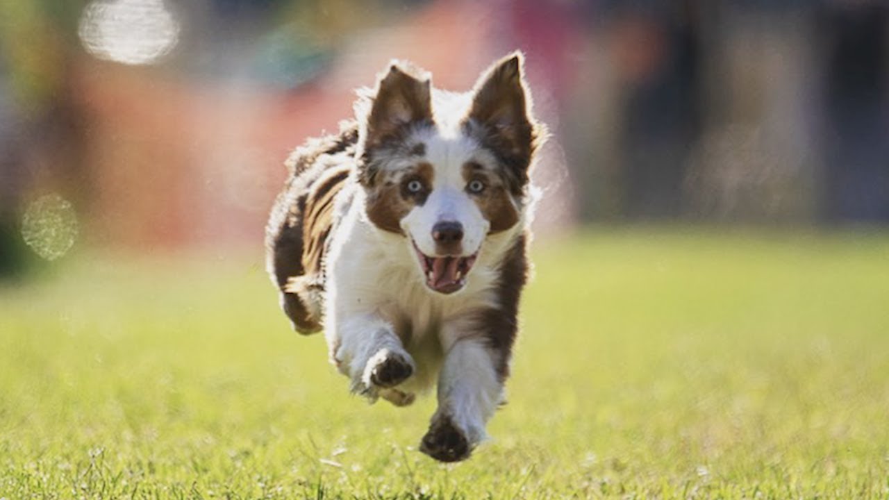 Energetic Running Wallpapers - Wallpaper Cave