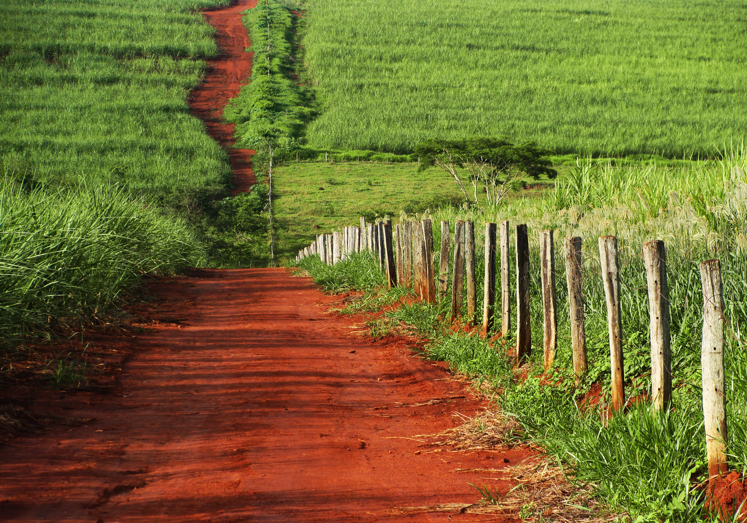 Goias Wallpapers - Wallpaper Cave