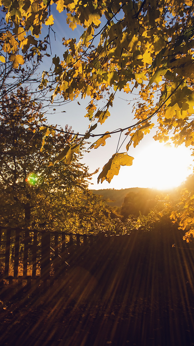 Autumn Sunrise Rain Wallpapers - Wallpaper Cave