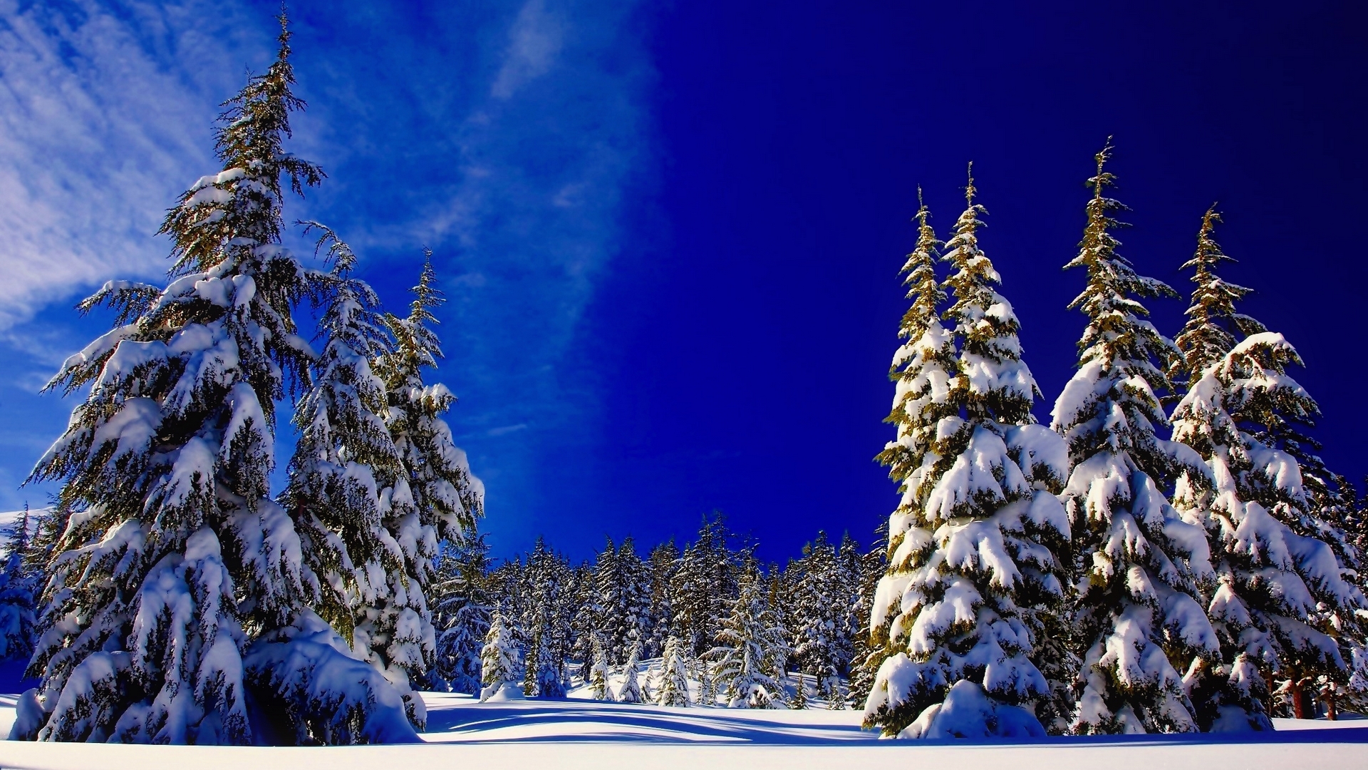 Winter Season Desktop Wallpapers - Wallpaper Cave