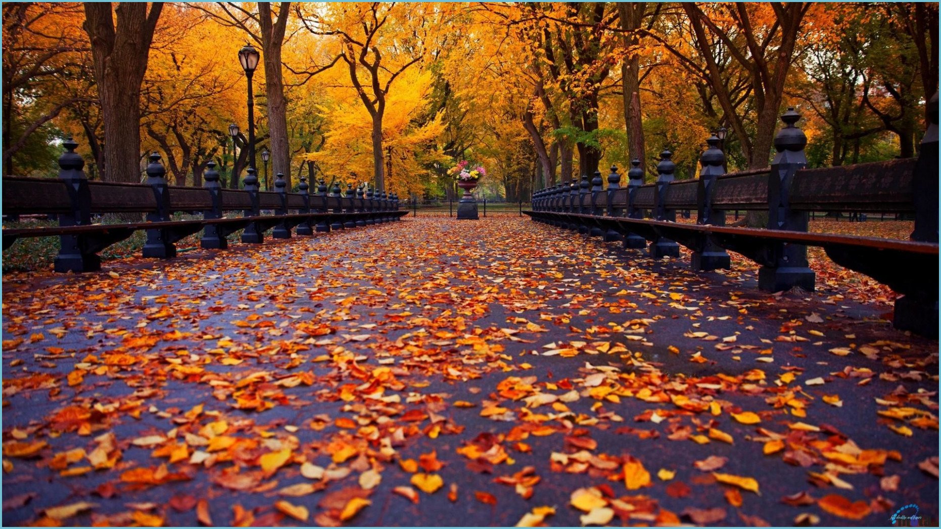 Autumn America Wallpapers - Wallpaper Cave