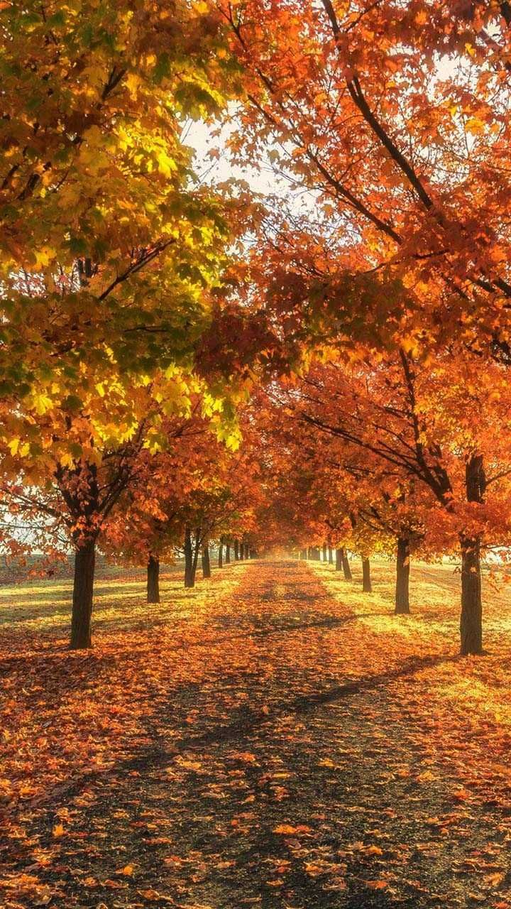 Dark European Autumn Wallpapers - Wallpaper Cave