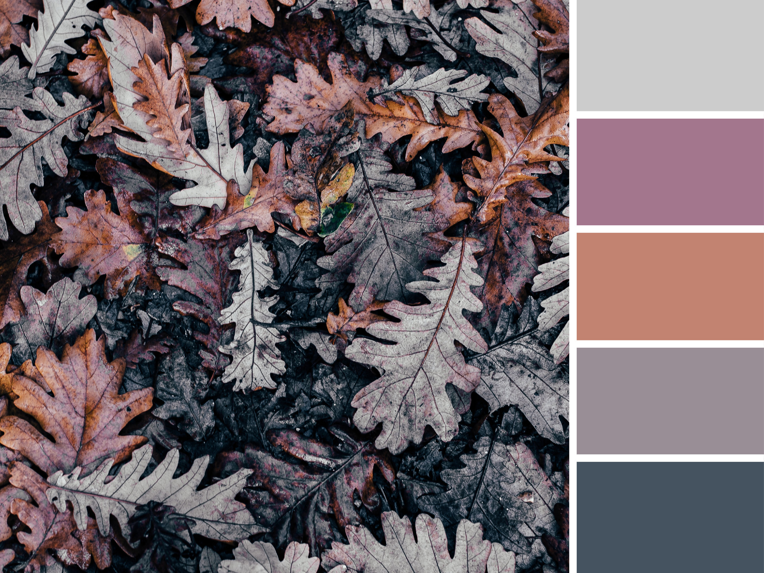 Autumn Mood Board Wallpapers - Wallpaper Cave