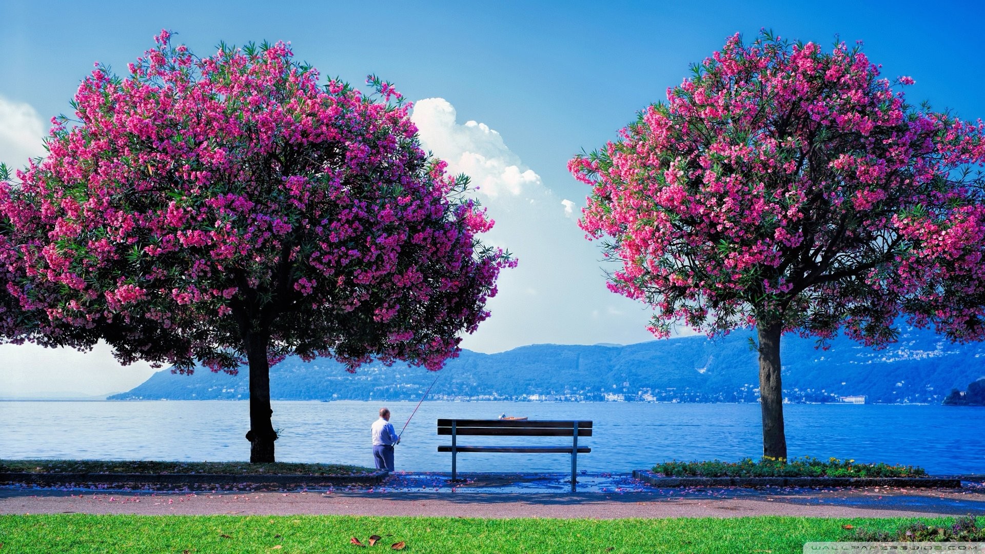 Exotic Places Wallpapers - Wallpaper Cave