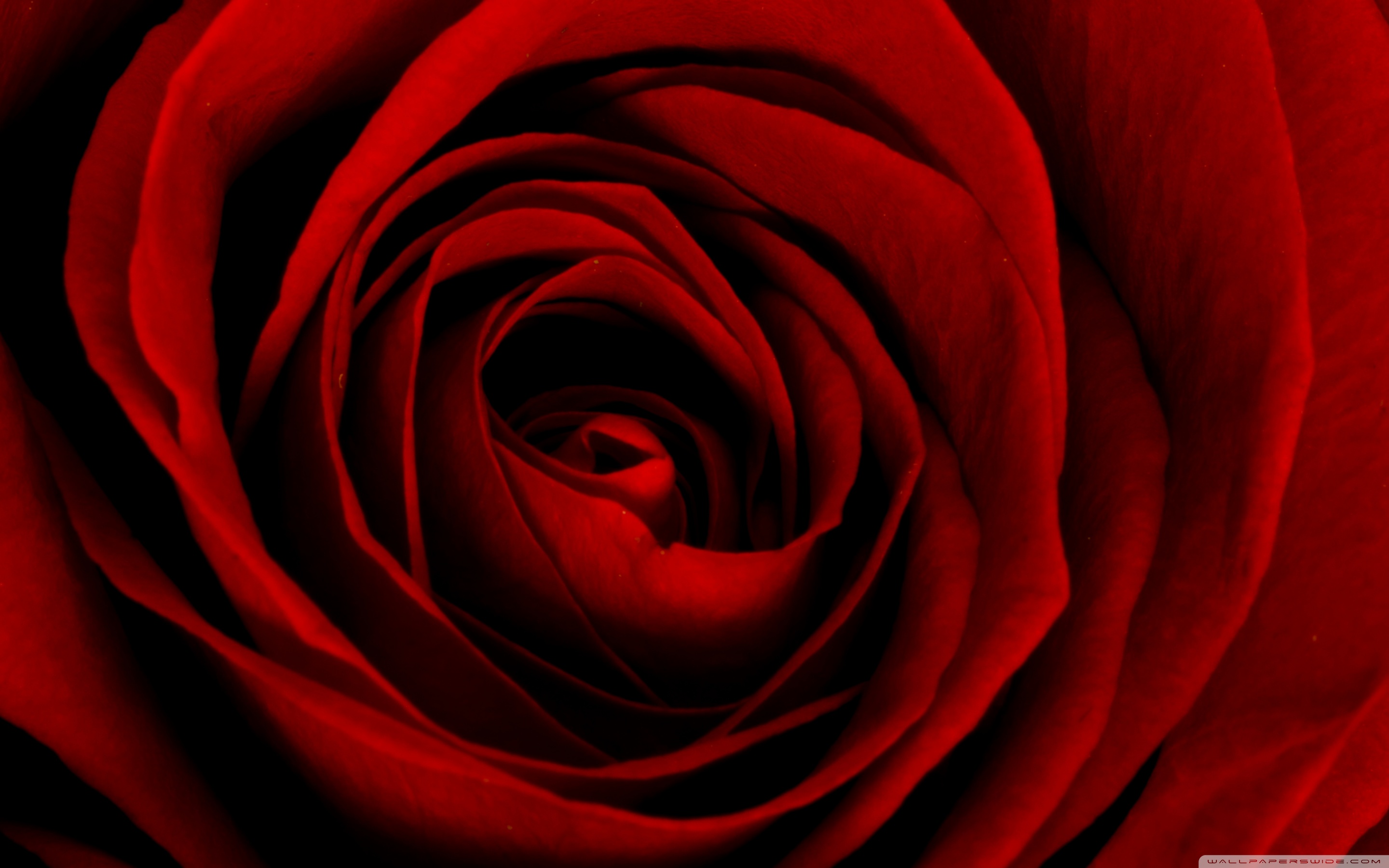 Red Things Wallpapers - Wallpaper Cave