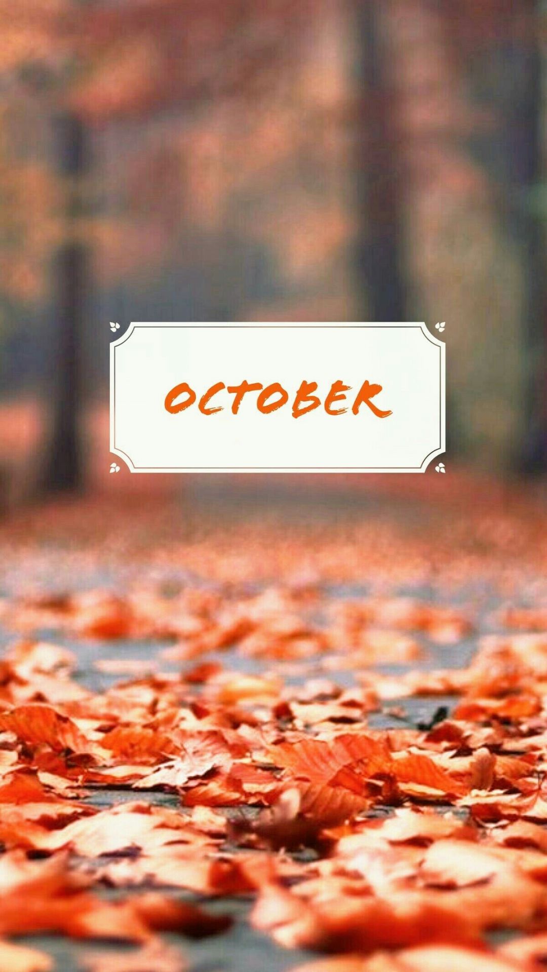Hello October Wallpapers - Wallpaper Cave