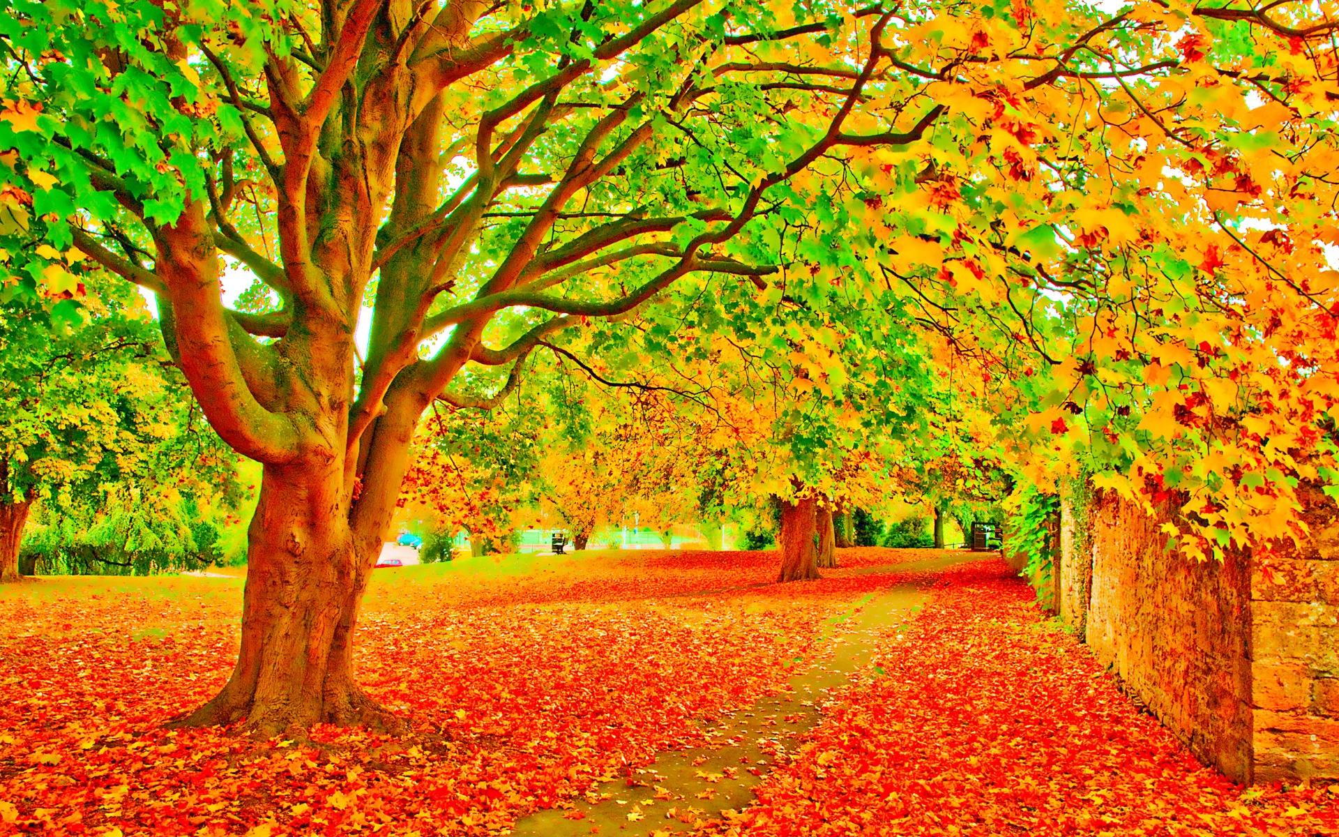 Autumn Colour Wallpapers - Wallpaper Cave