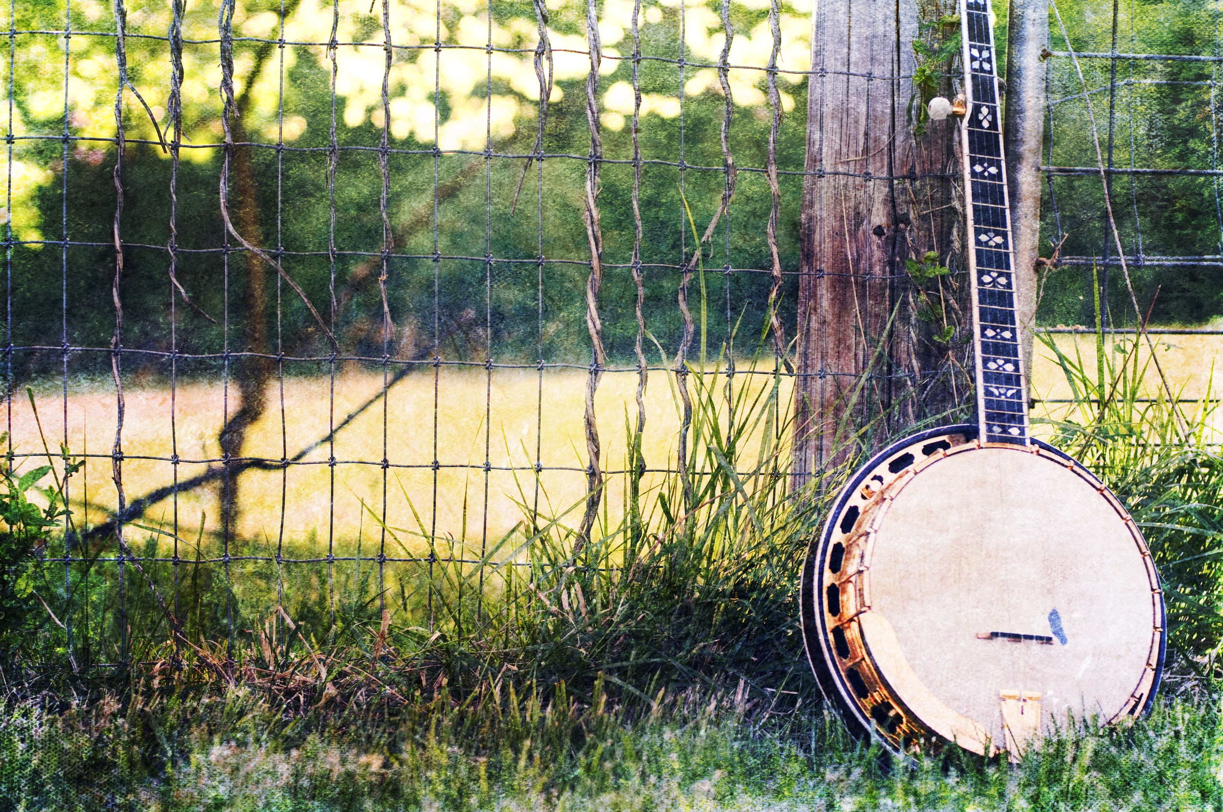 Bluegrass Wallpapers - Wallpaper Cave