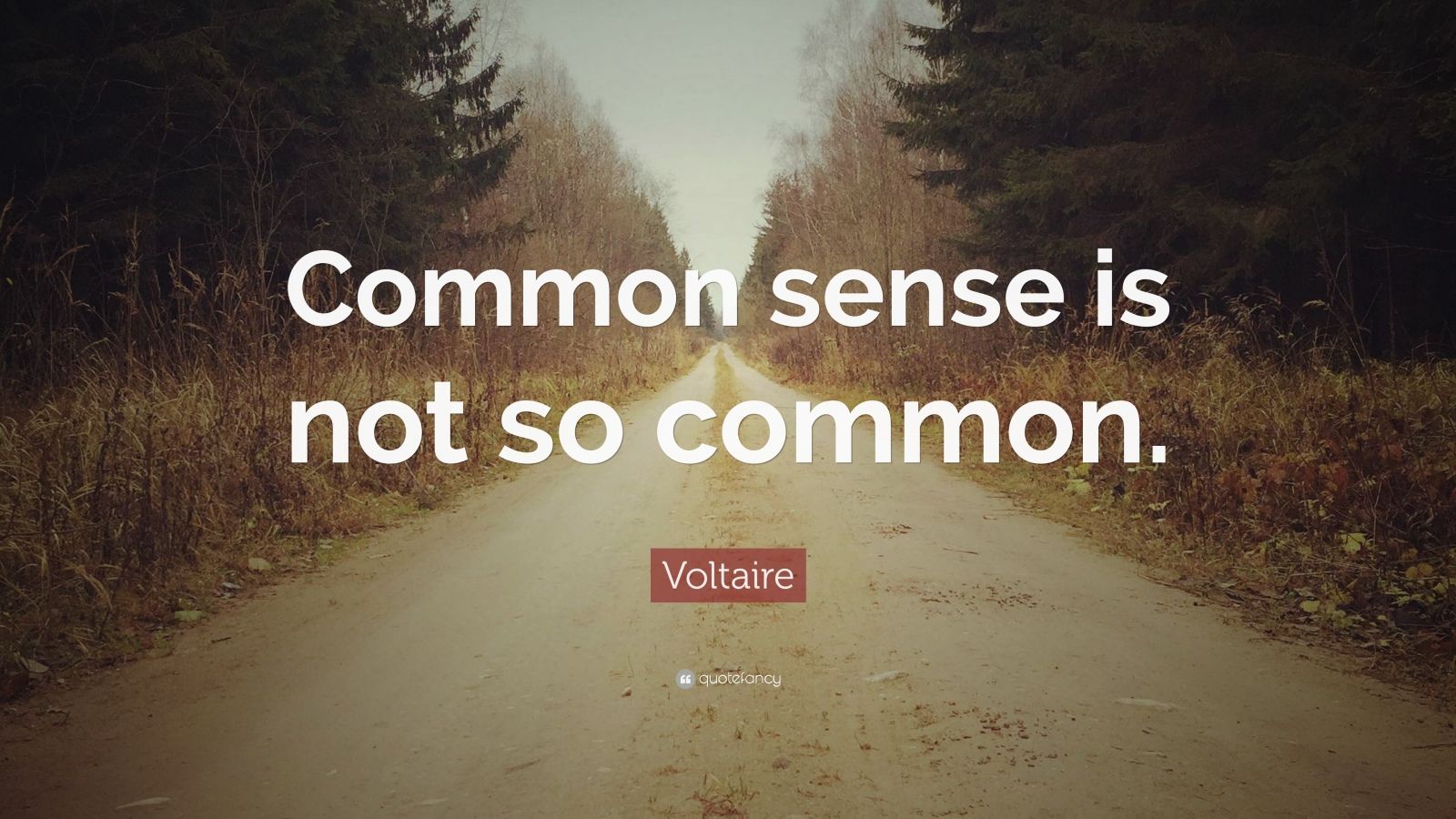 Common Sense Wallpapers - Wallpaper Cave