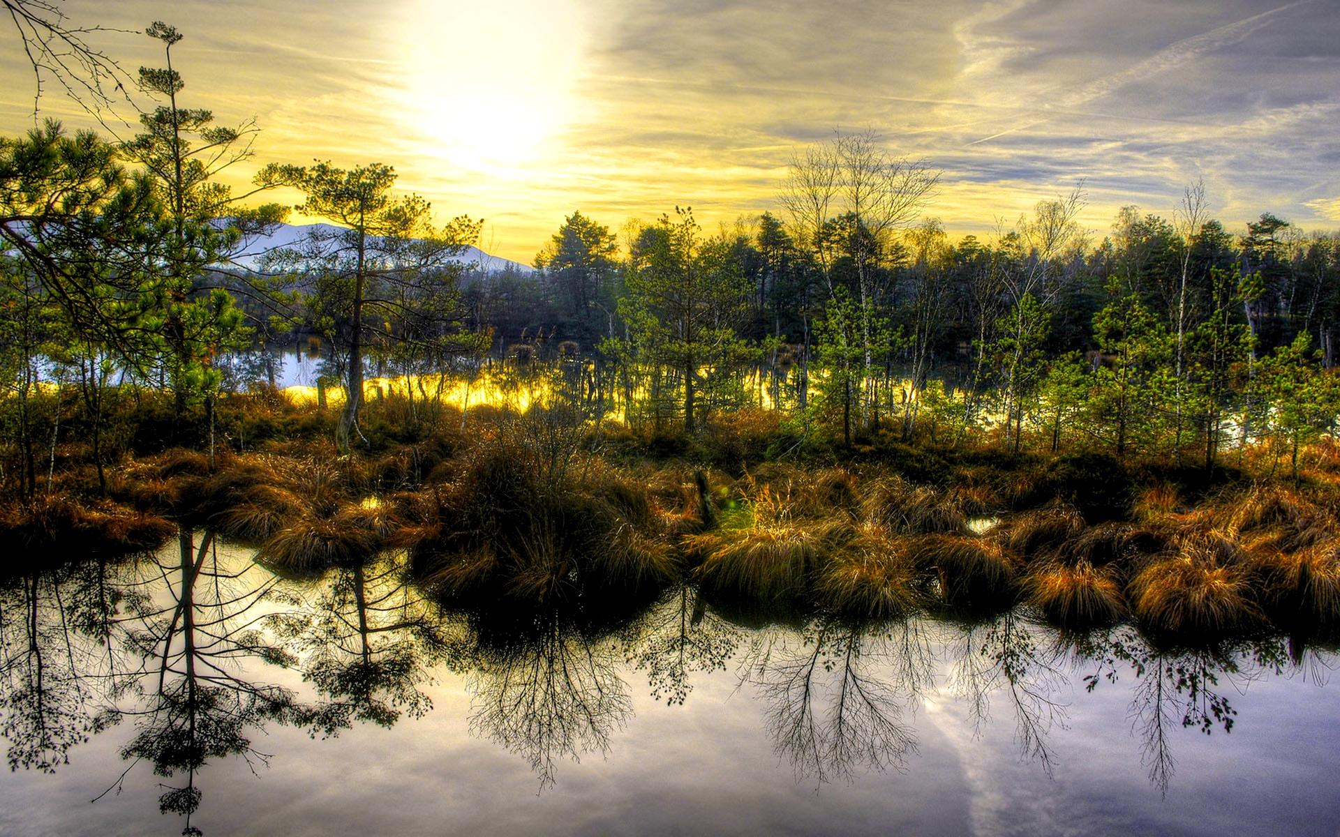 Wetland Wallpapers - Wallpaper Cave