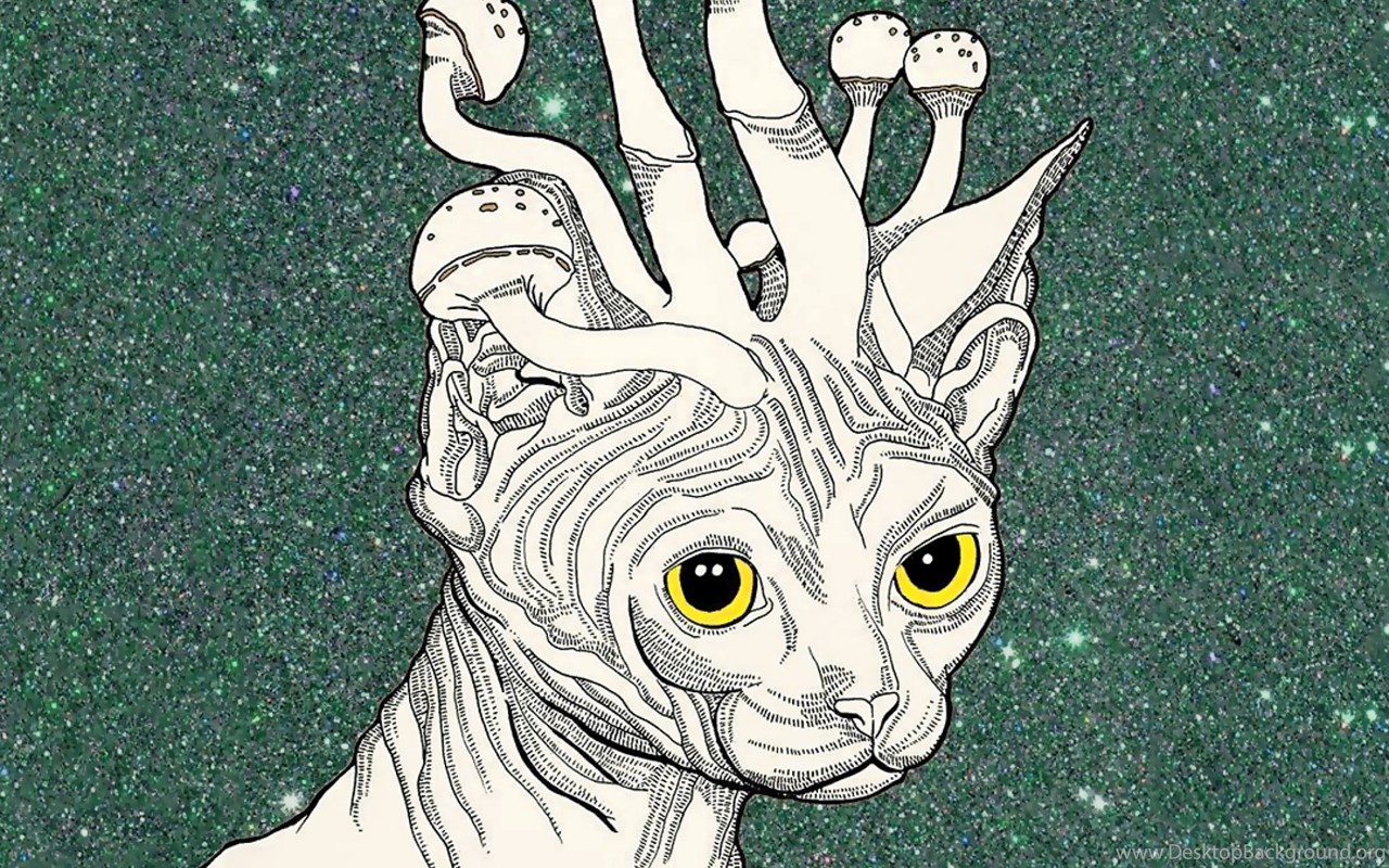 Trippy Toons Wallpapers - Wallpaper Cave