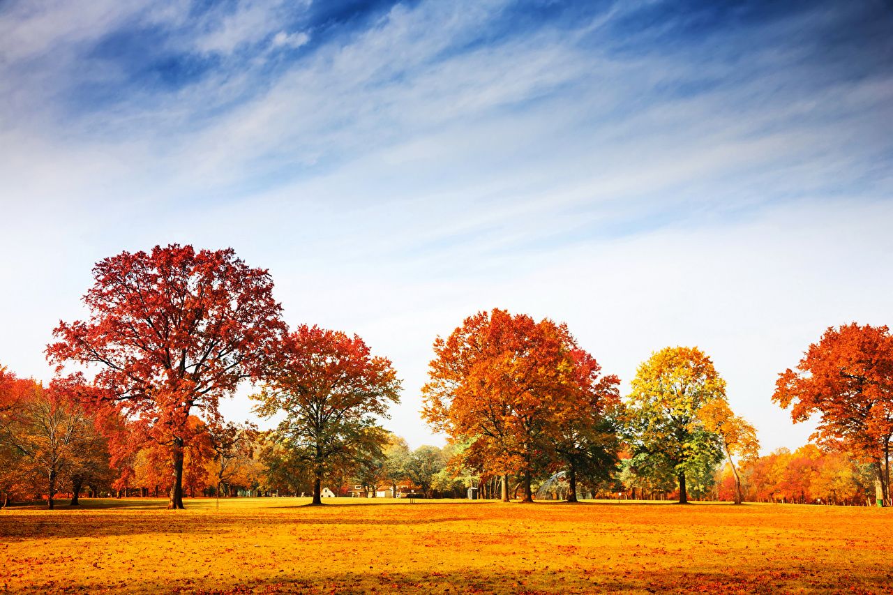 Natural Sky Autumn Wallpapers - Wallpaper Cave