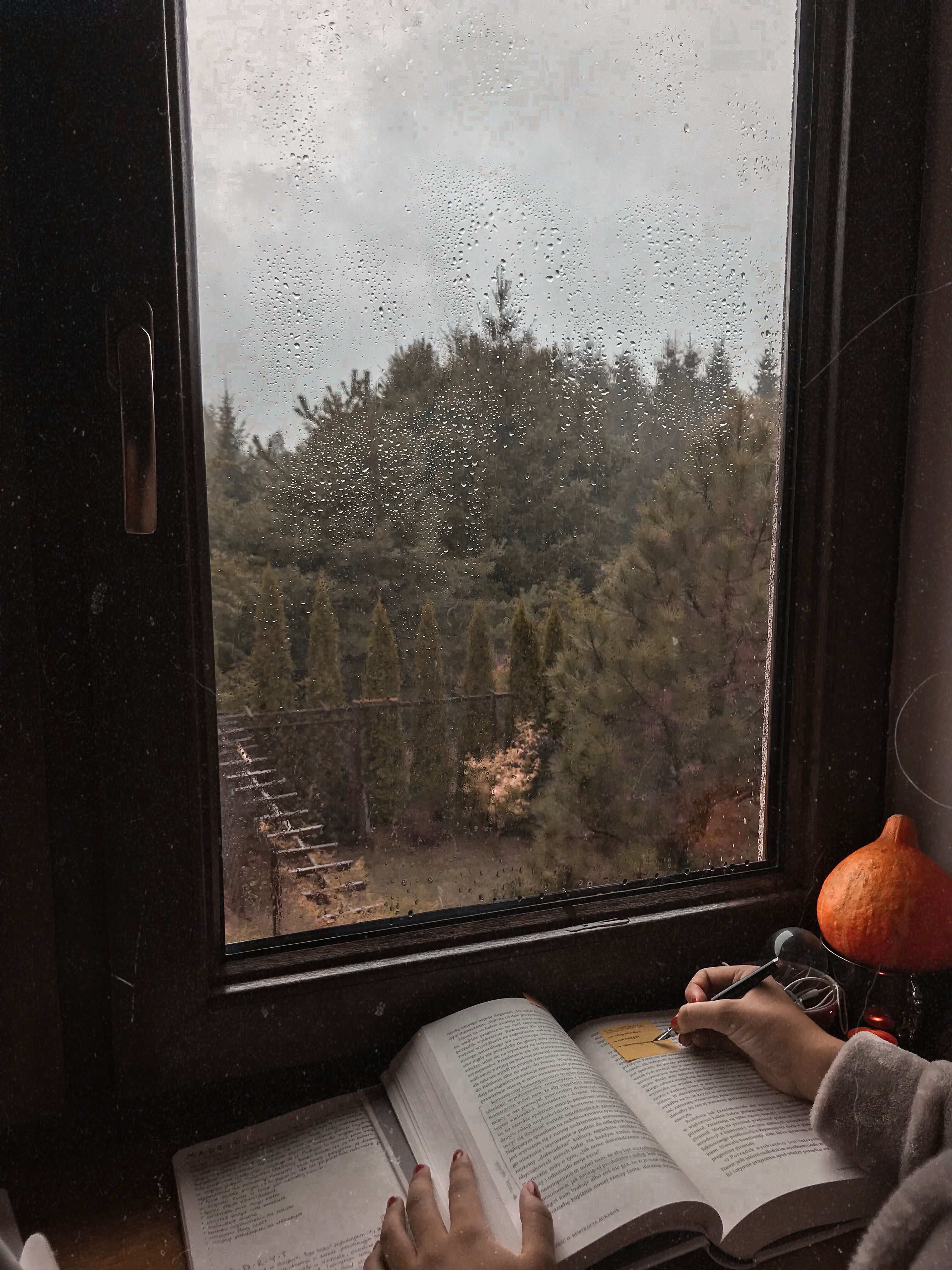 Autumn Studying Wallpapers - Wallpaper Cave