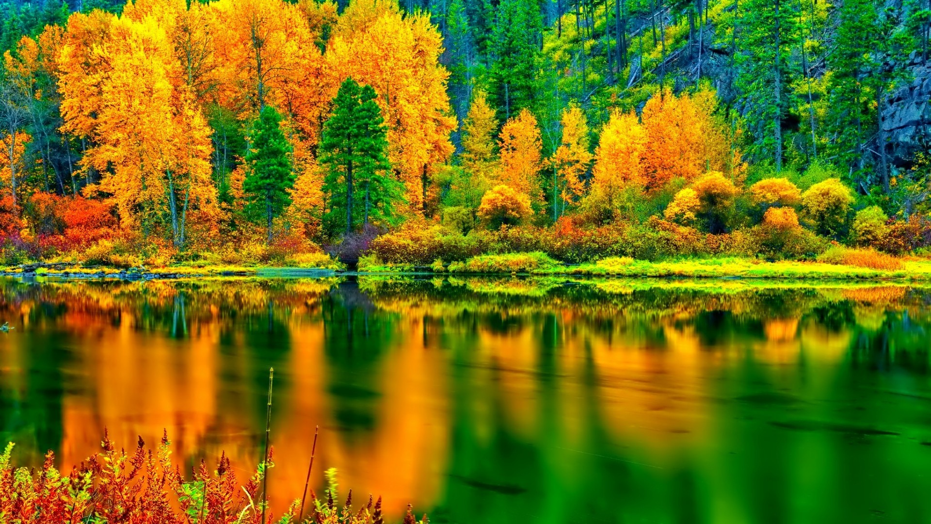 Autumn Landscape 1920x1080 Wallpapers - Wallpaper Cave