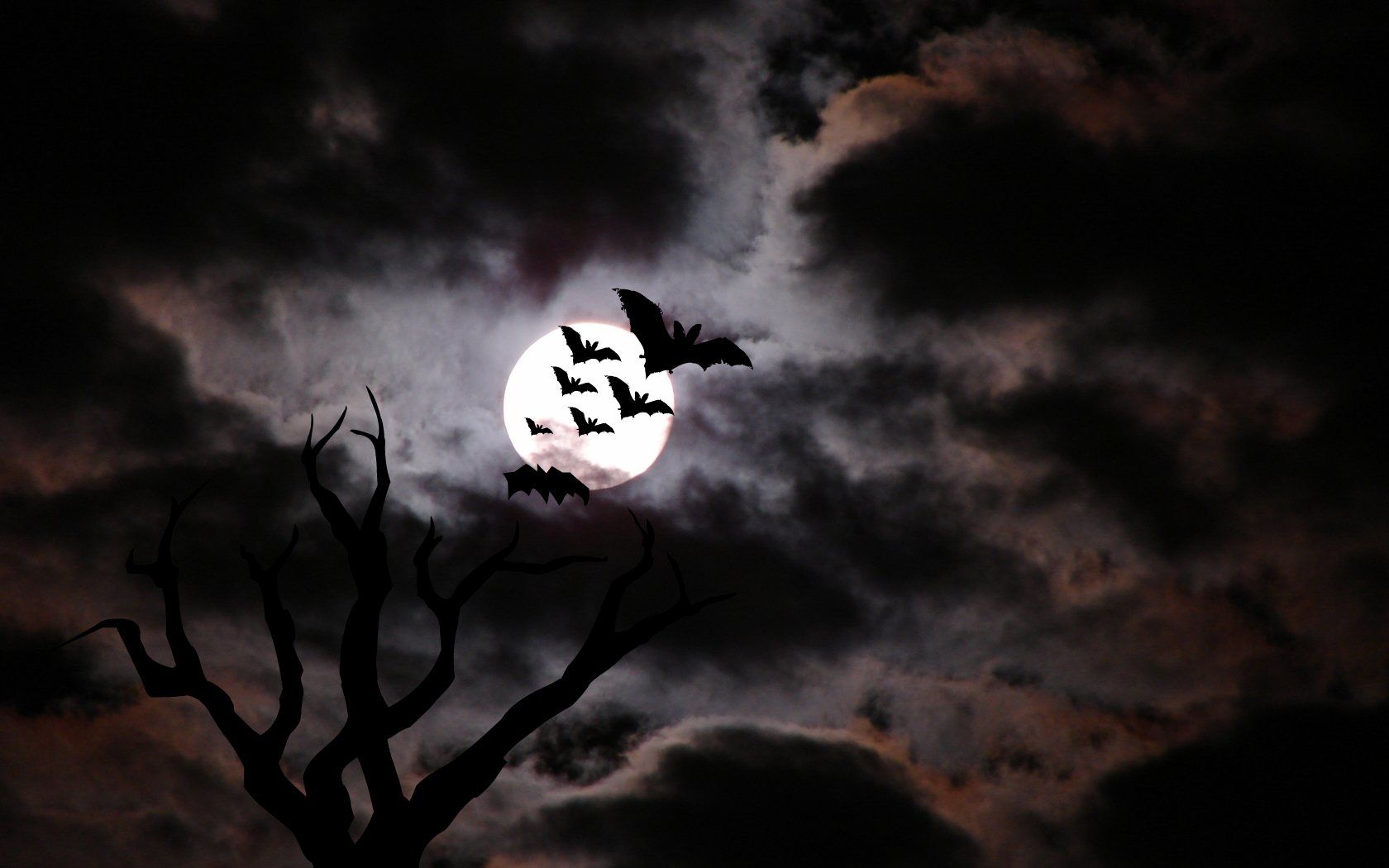 Halloween Spooky Desktop Wallpapers - Wallpaper Cave