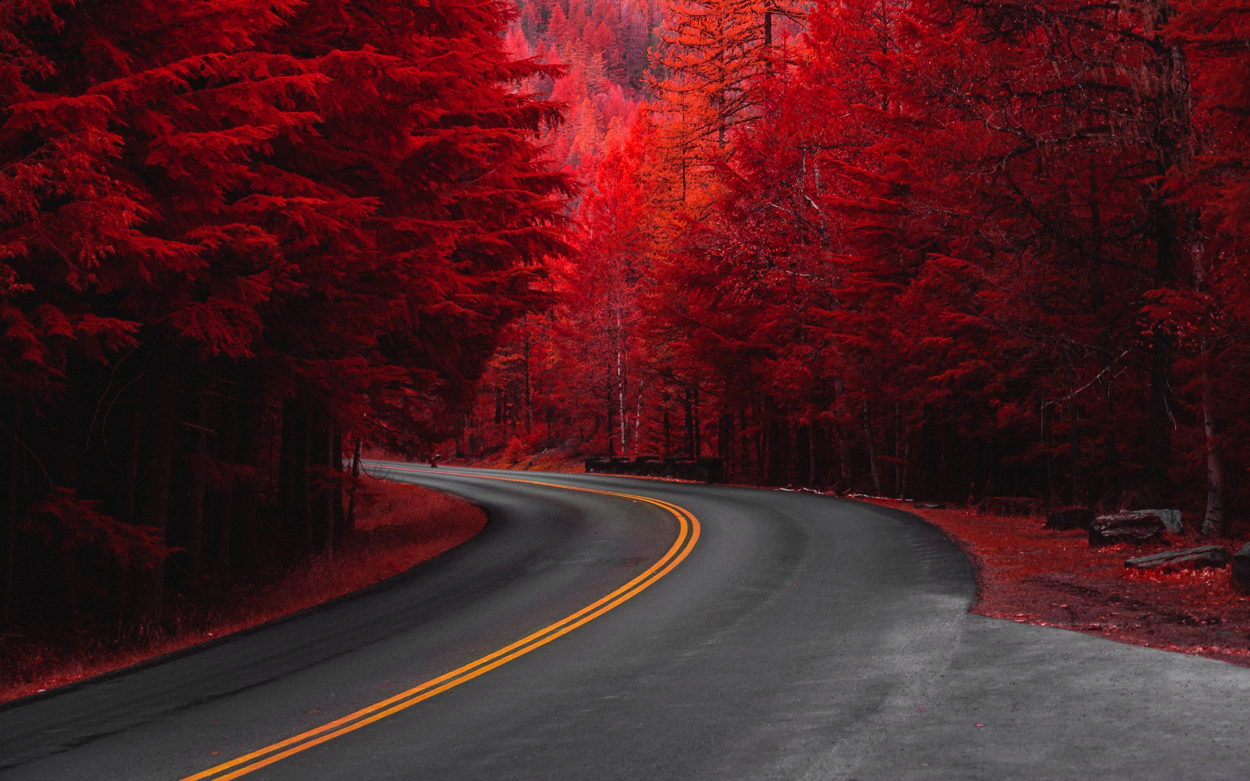 Aesthetic Road With Trees Wallpapers - Wallpaper Cave