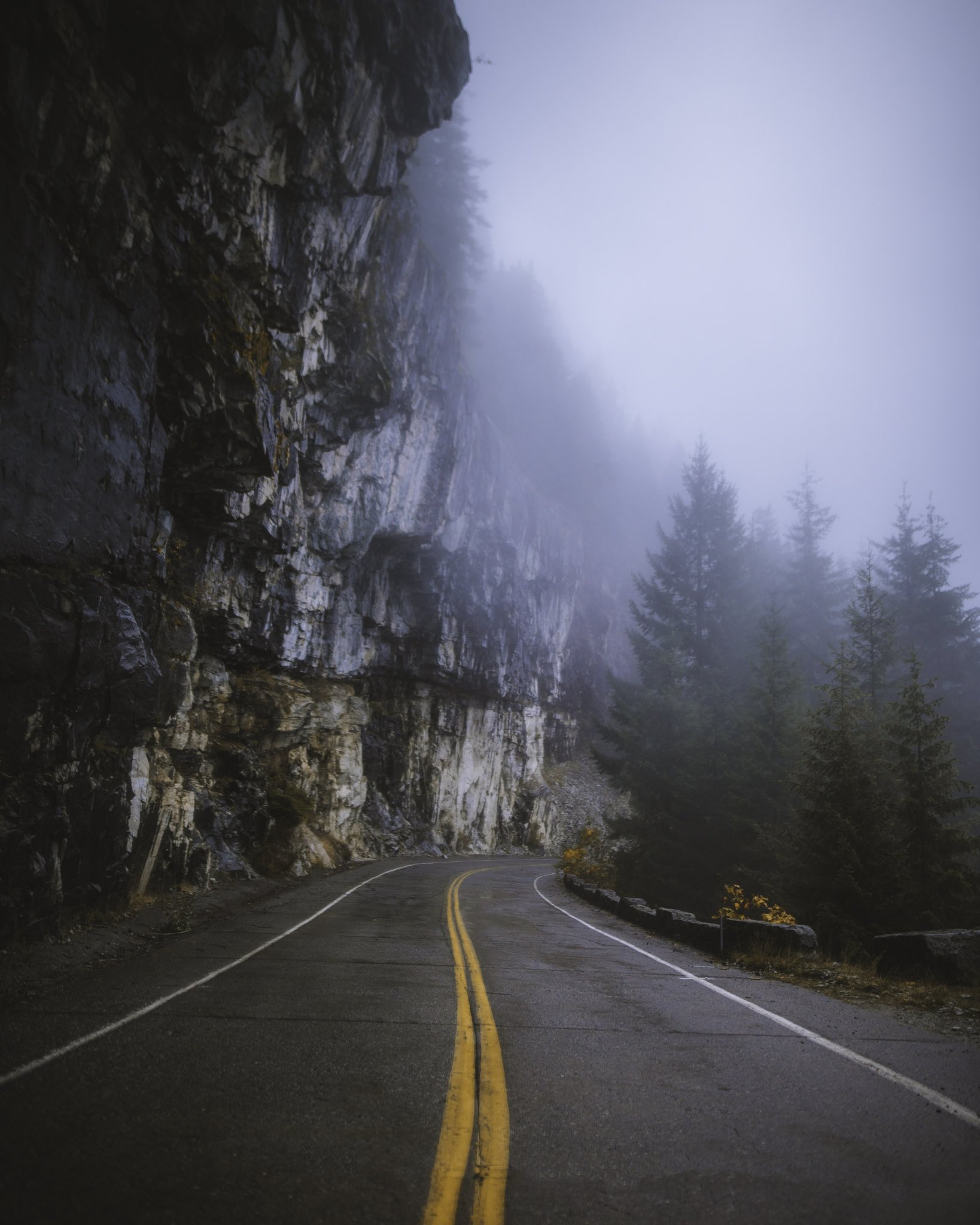 Aesthetic Road With Trees Wallpapers - Wallpaper Cave