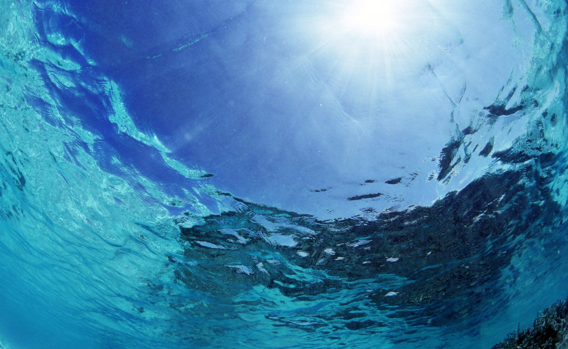 Windows Underwater Wallpapers - Wallpaper Cave