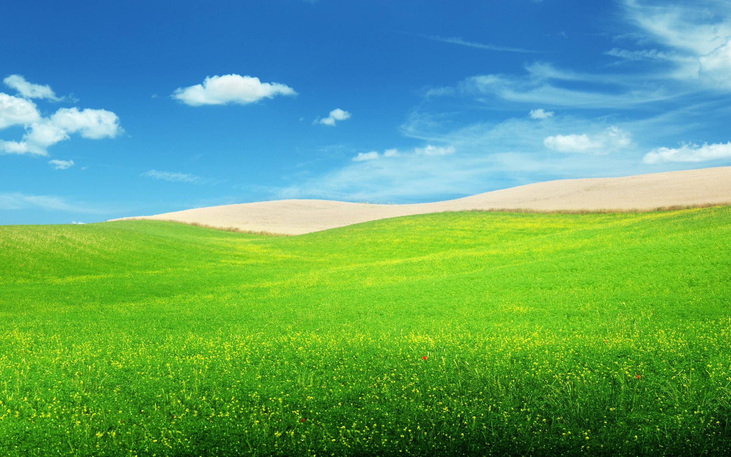 Backgrounds Windows - Wallpaper Cave