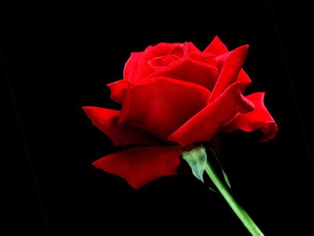 Cute Red Backgrounds - Wallpaper Cave