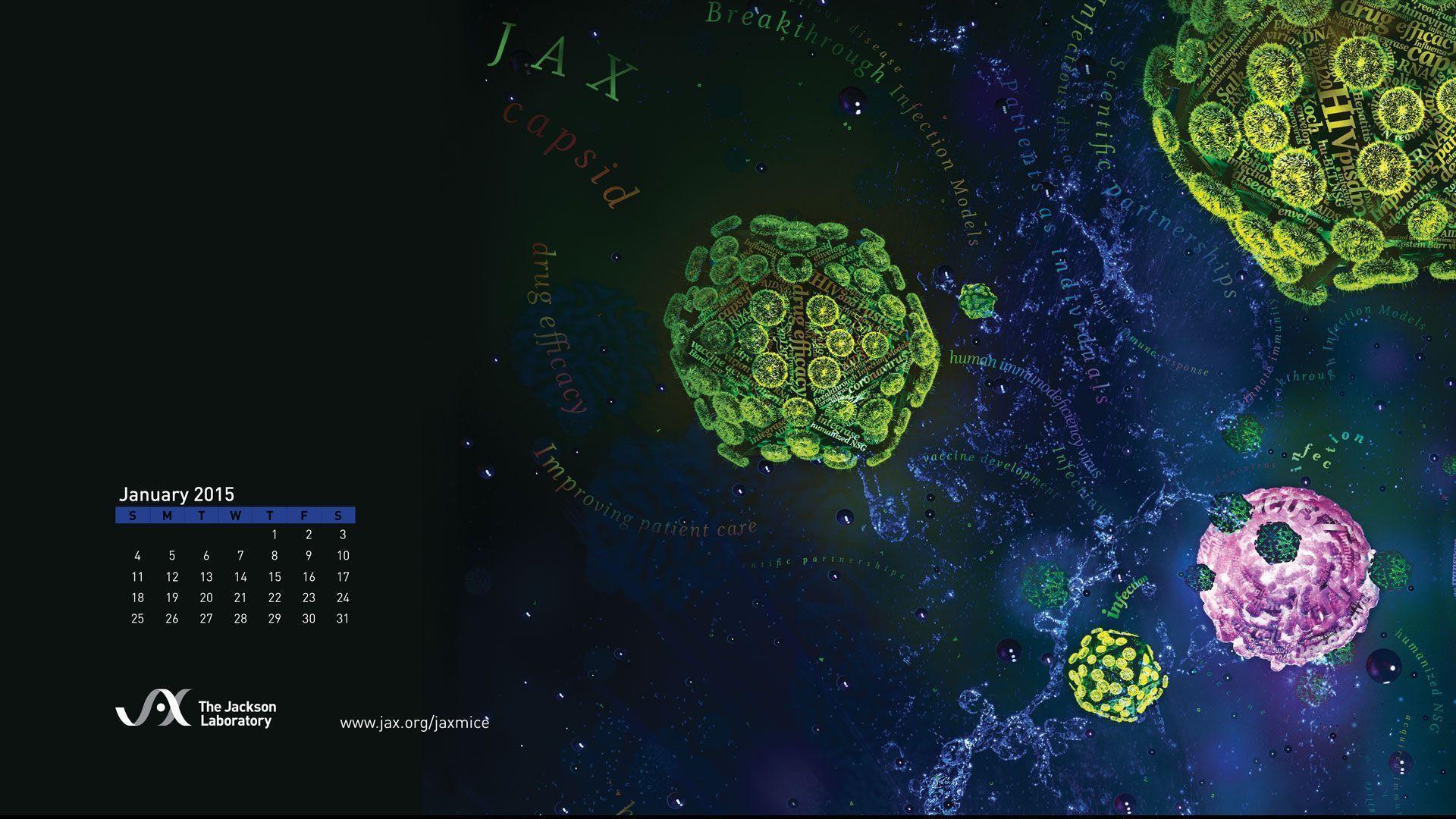 New PC Wallpapers 2015 - Wallpaper Cave