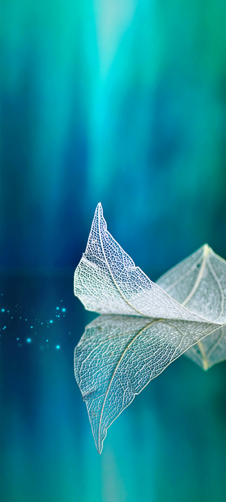 Featured Wallpapers - Wallpaper Cave