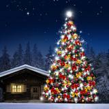 Bud And Badri Wallpapers - Wallpaper Cave