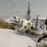 Tons of Simulation Wallpapers