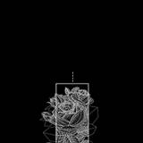 Wallpapers Black Rose - Wallpaper Cave