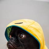 Raggedy Ann And Andy Wallpapers - Wallpaper Cave